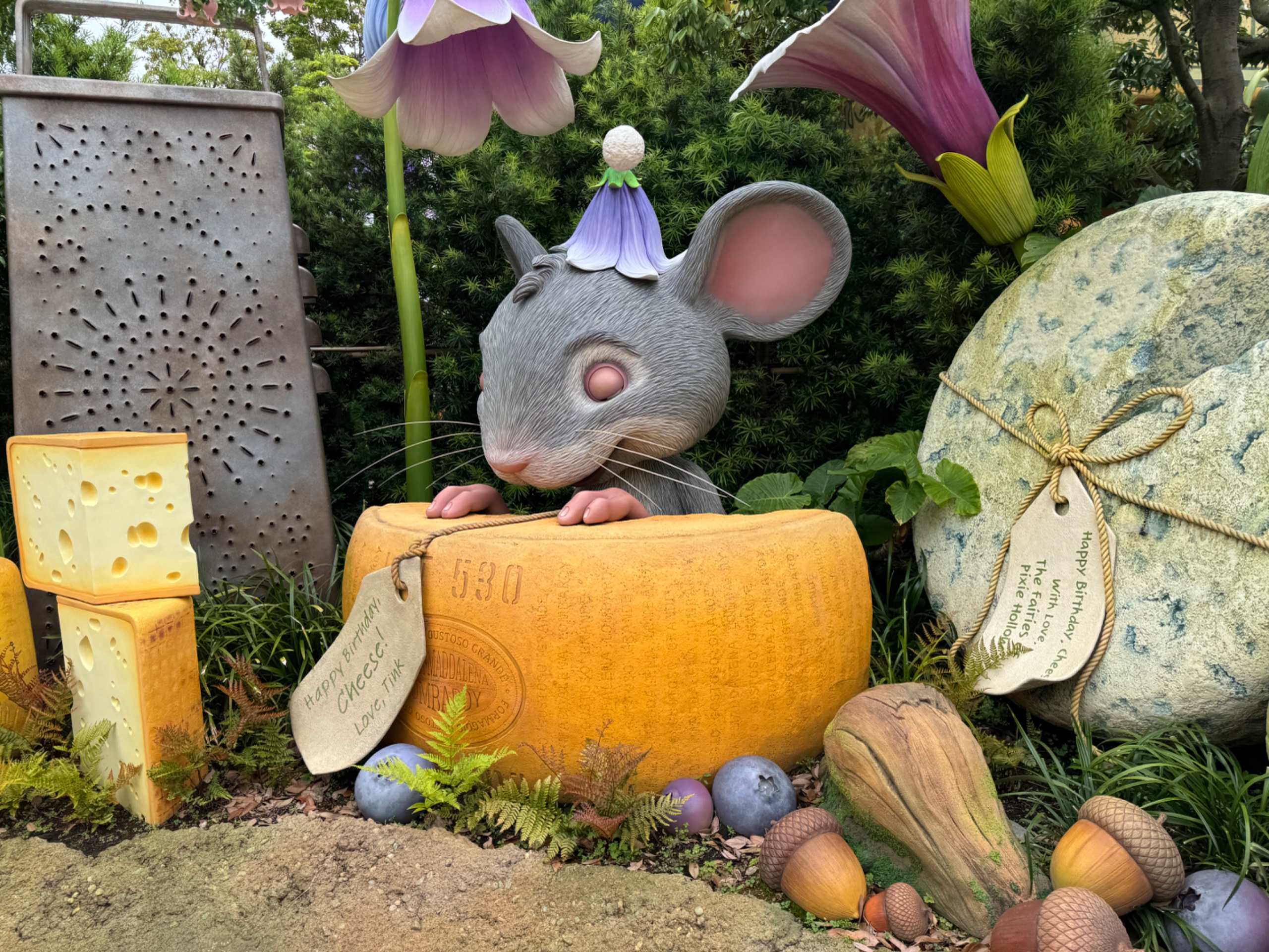 DAK - 'Encanto' and 'Indiana Jones'-themed experiences at Animal ...