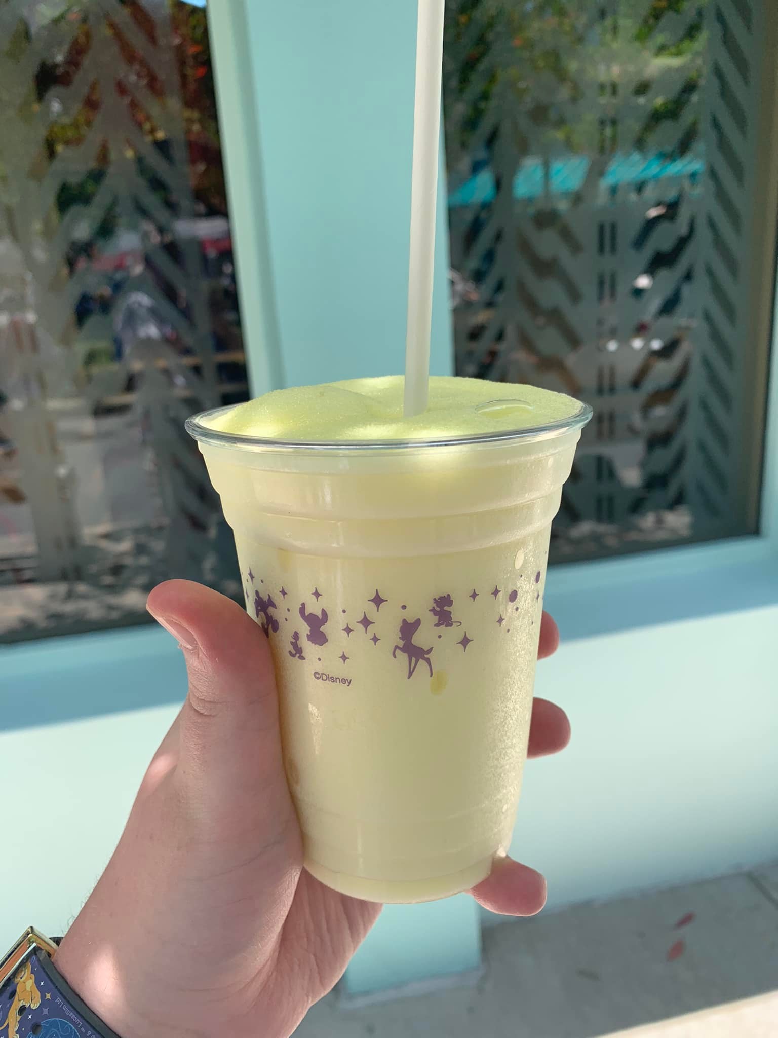 Frozen Lemonade | WDWMAGIC - Unofficial Walt Disney World discussion forums
